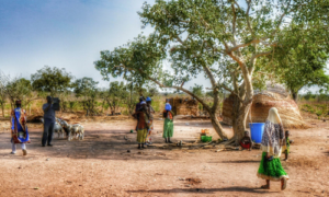 Overview of Some Project, Thesis Topics for Rural Development Research ...